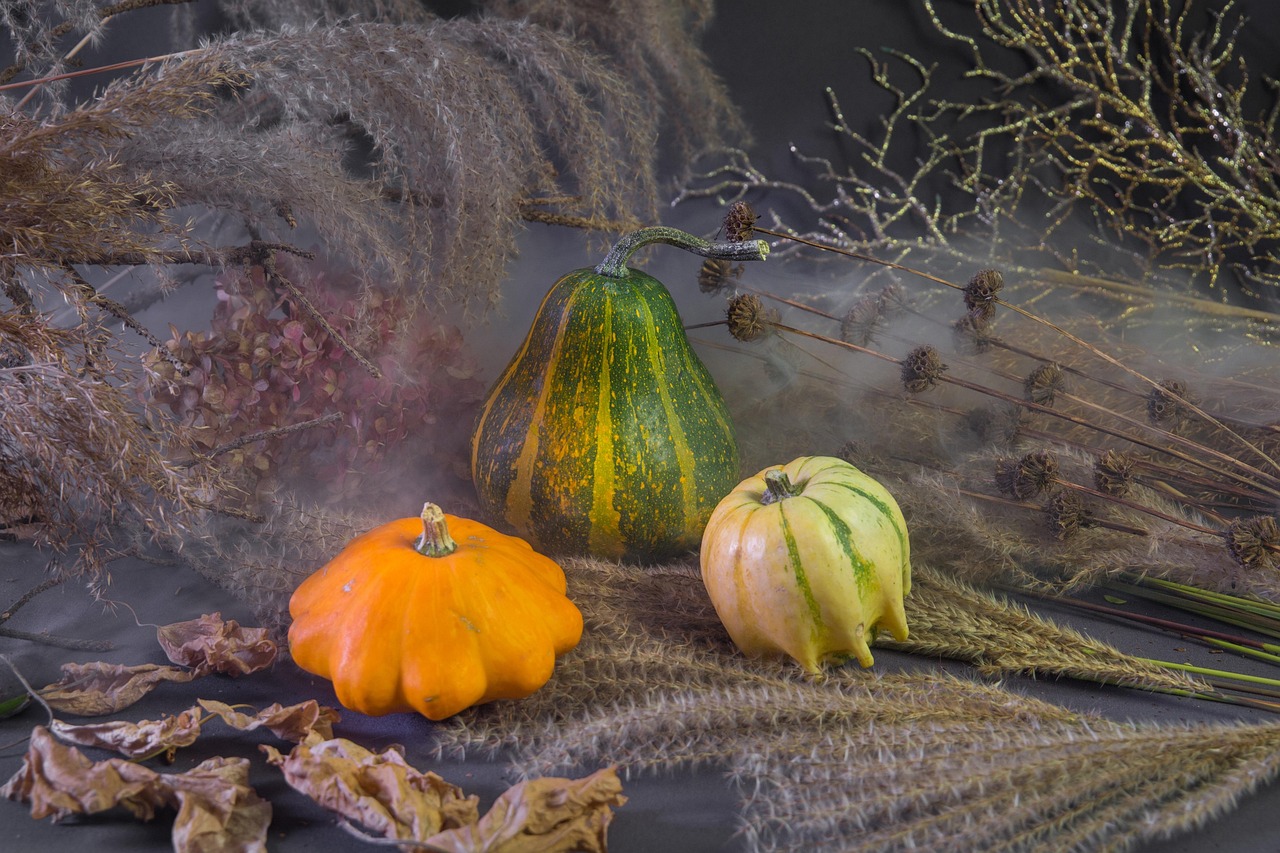 40+ Free Pumpkin Varieties & Pumpkins Images - Pixabay