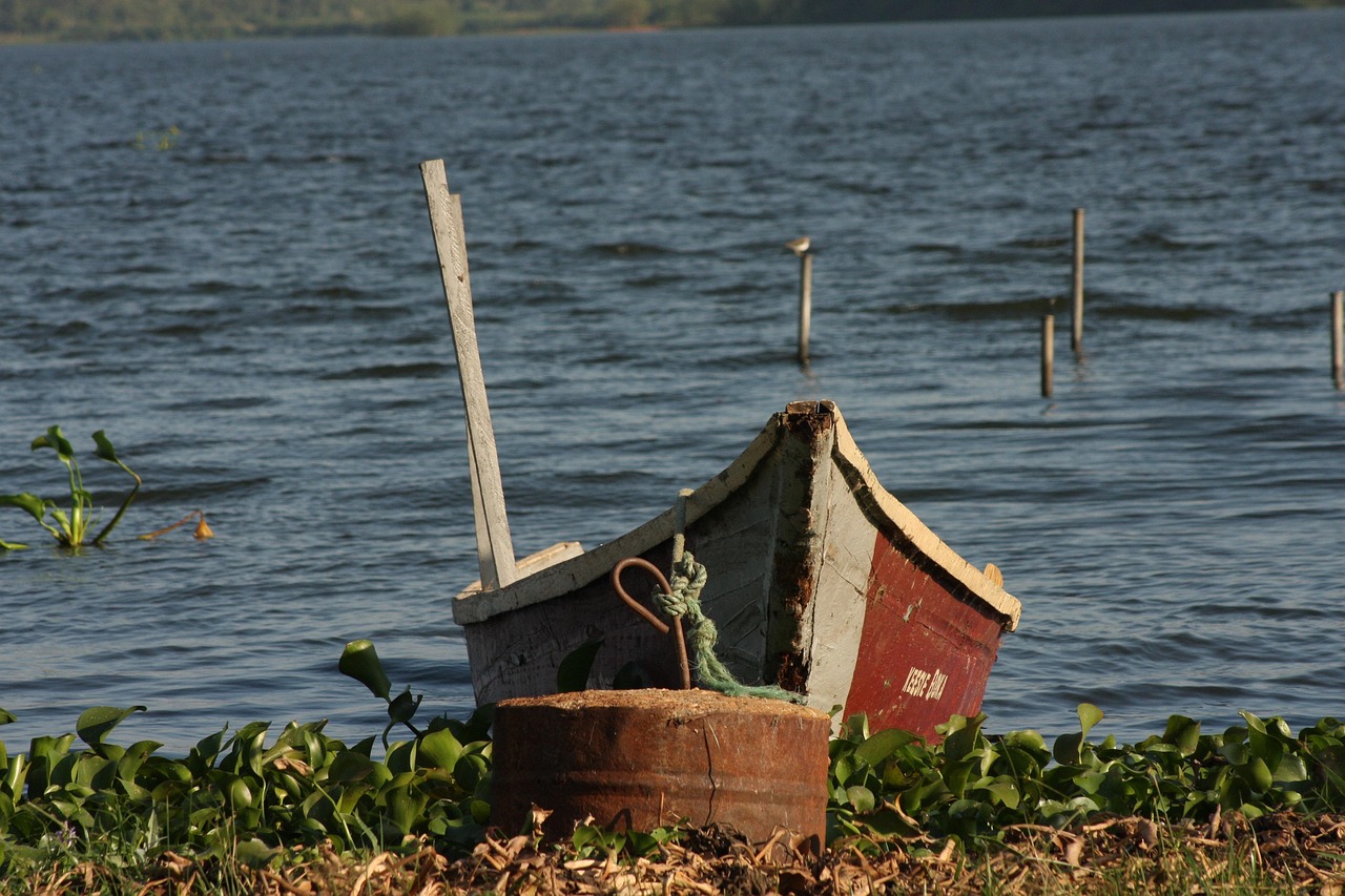 90,000+ Free Lake Victoria & Nature Images - Pixabay