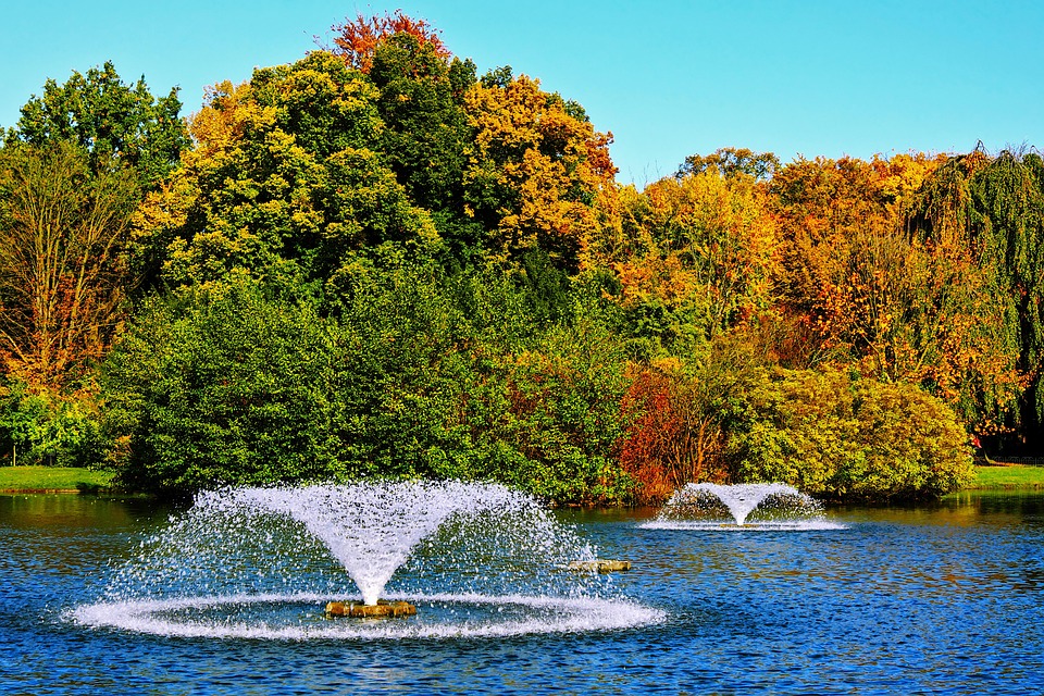 Podzim Stromy Park - Fotografie zdarma na Pixabay - Pixabay