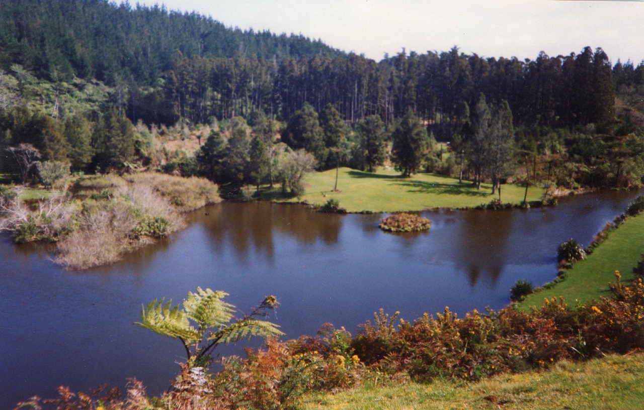 New Zealand Landscape Lake - Free photo on Pixabay - Pixabay