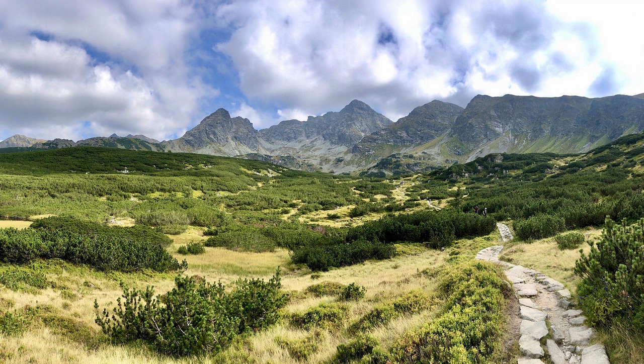 Berge Pfad Felder - Kostenloses Foto auf Pixabay - Pixabay