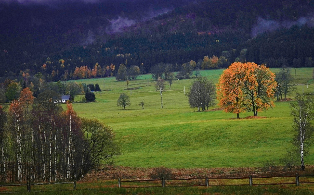 Více než 1 obrázků na téma Denk Wolkje a Pole zdarma - Pixabay