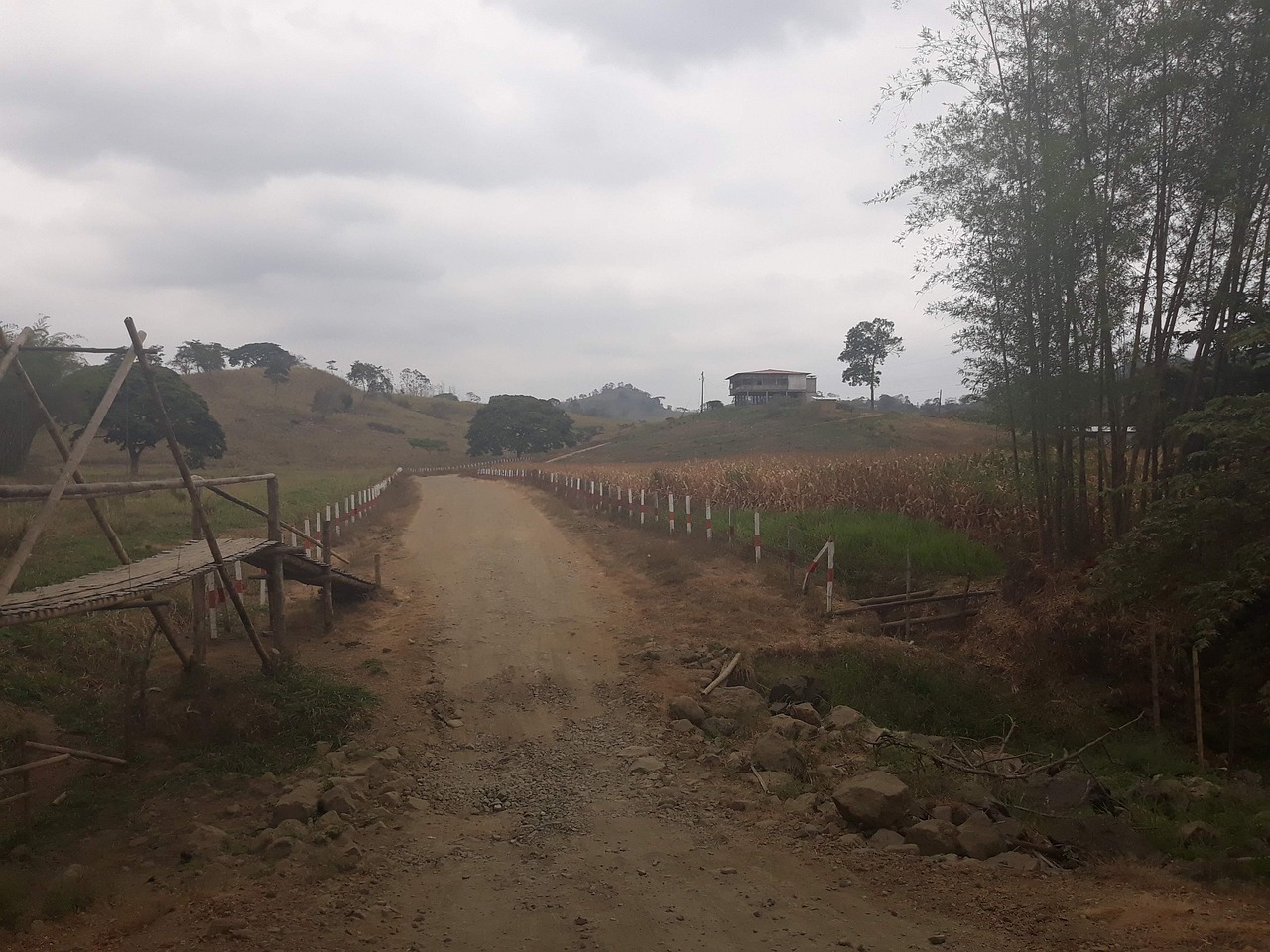 Rural Cane Road - Free photo on Pixabay - Pixabay