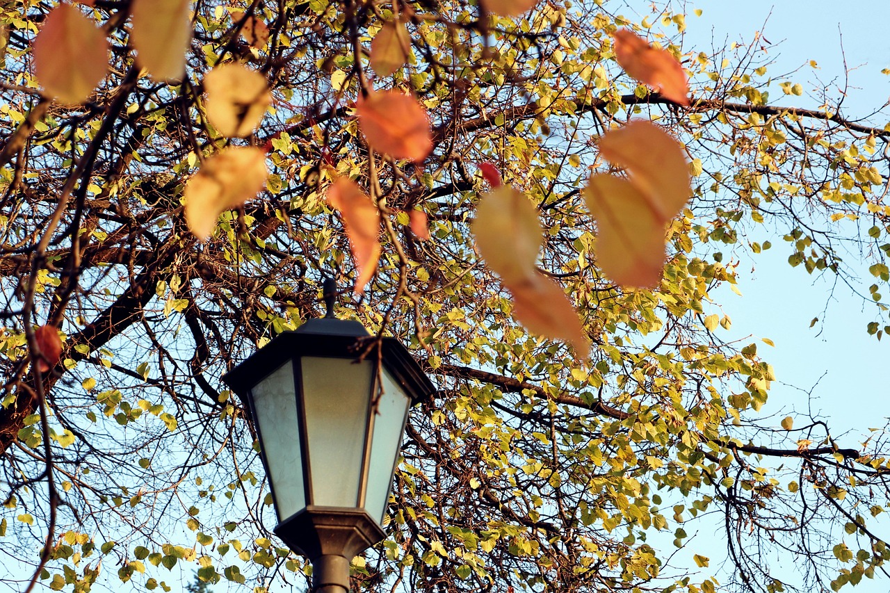 Russia Autumn October The - Free photo on Pixabay - Pixabay