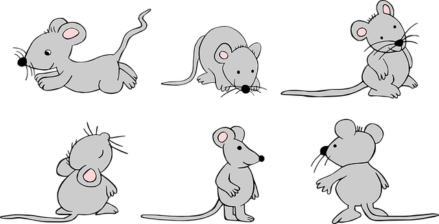 Download Mouse, Rat, Animal. Royalty-Free Vector Graphic - Pixabay