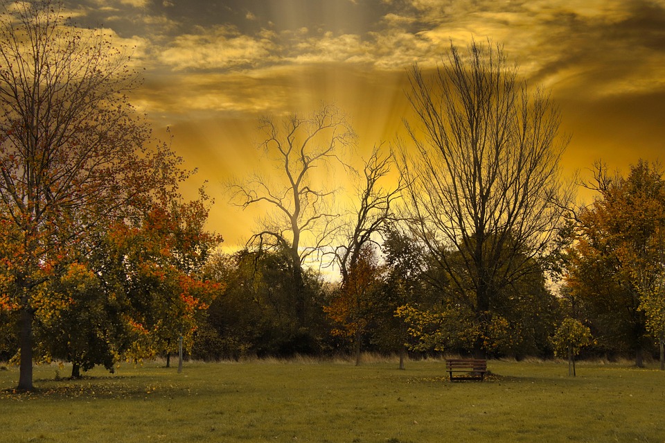 Autumn Trees Sunset - Free photo on Pixabay