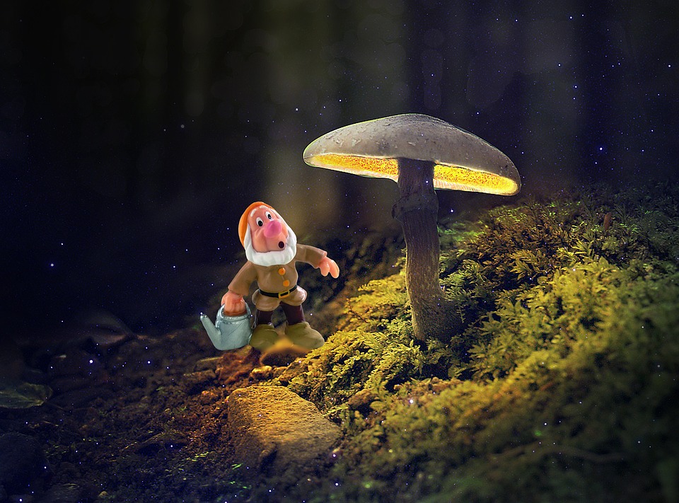 Photo Montage Fungus Dwarf - Free photo on Pixabay