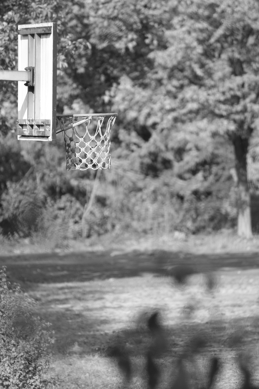Basketball Jouer Des Sports - Photo gratuite sur Pixabay - Pixabay