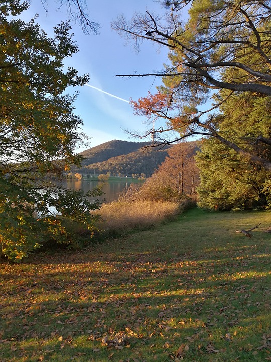 Scenic View Water - Free photo on Pixabay - Pixabay