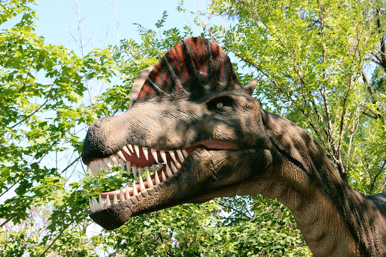 Dinosaur Head Teeth - Free photo on Pixabay - Pixabay