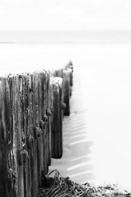 Pantai Kayu Laut - Foto gratis di Pixabay