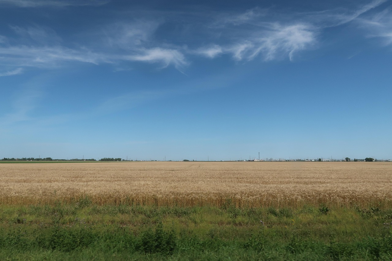 Wheat Field Rural - Free photo on Pixabay - Pixabay