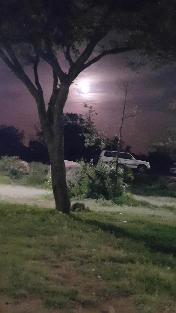 Moon Camping - Free photo on Pixabay - Pixabay