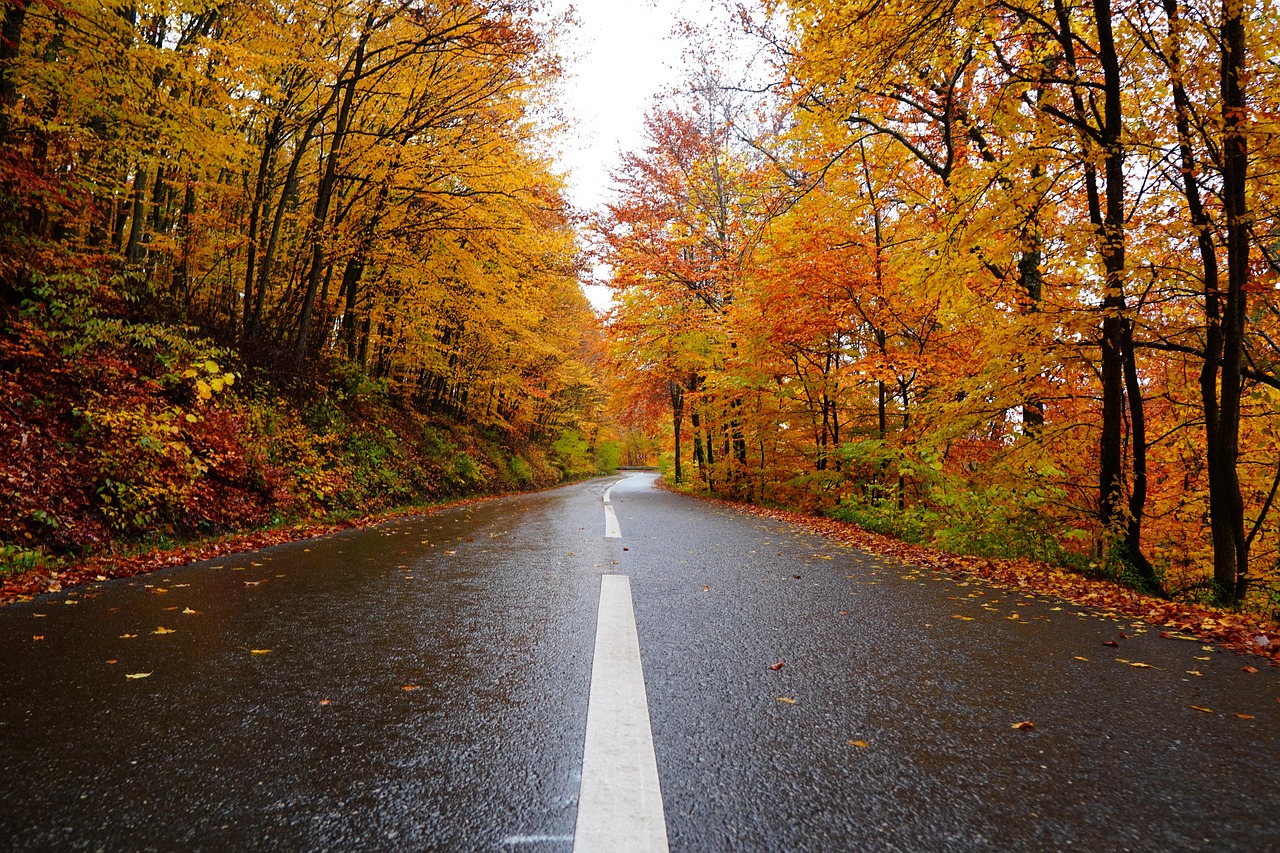 700+ Free Roadway & Road Images - Pixabay