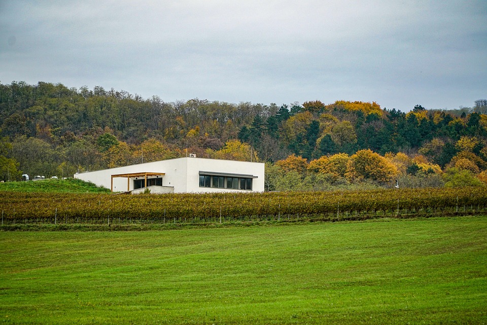 Fields Building Vineyard - Free photo on Pixabay - Pixabay