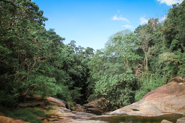 Meemure Sri Lanka Places To Visit - Free photo on Pixabay - Pixabay