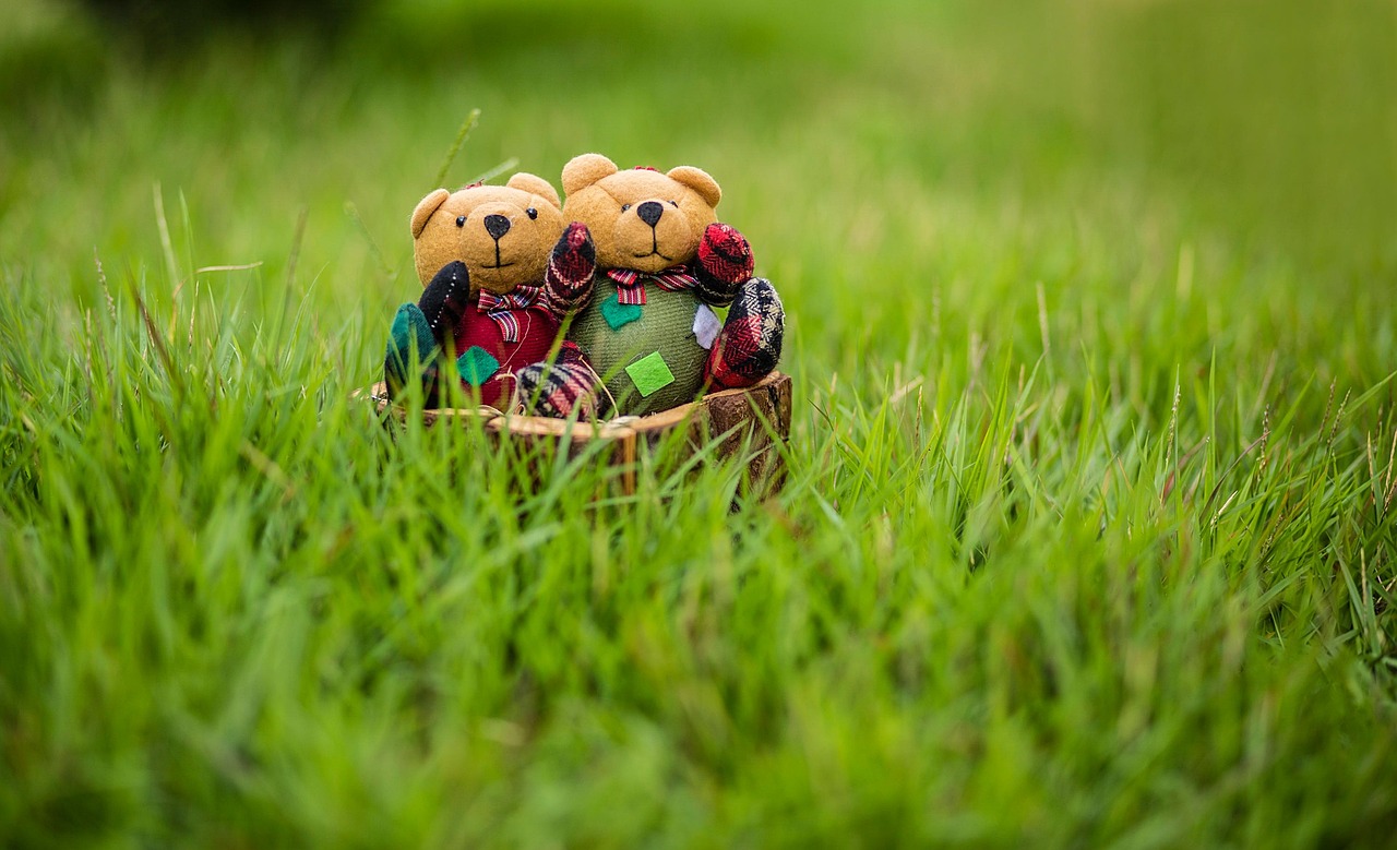 Teddy Bears Plush Couple - Free photo on Pixabay