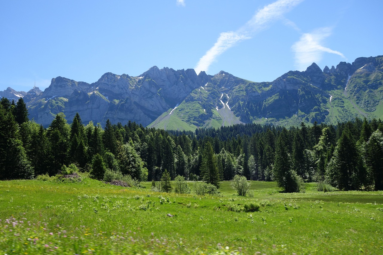 Meadow Field Mountains - Free photo on Pixabay