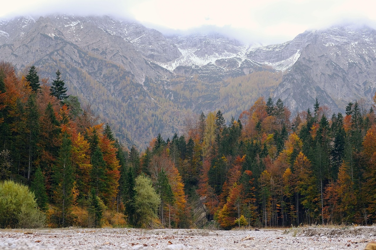 Mountains Forest Autumn - Free photo on Pixabay