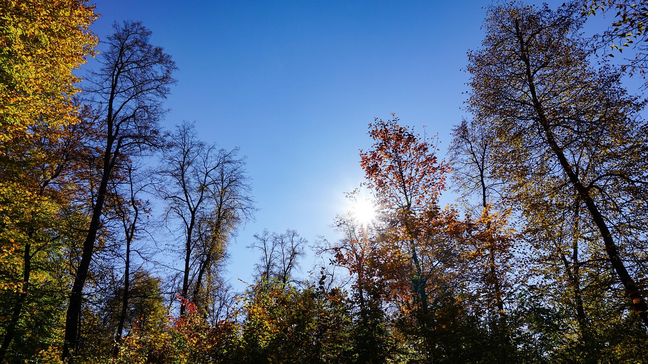 Nature Automne Ciel - Photo gratuite sur Pixabay - Pixabay