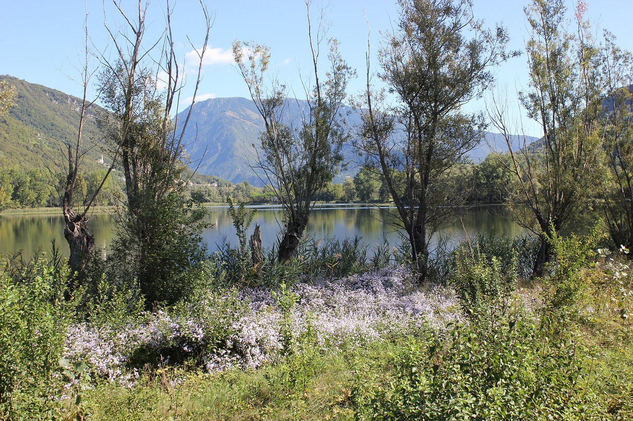 Lago De Revine Veneto Barco - Foto gratuita no Pixabay - Pixabay