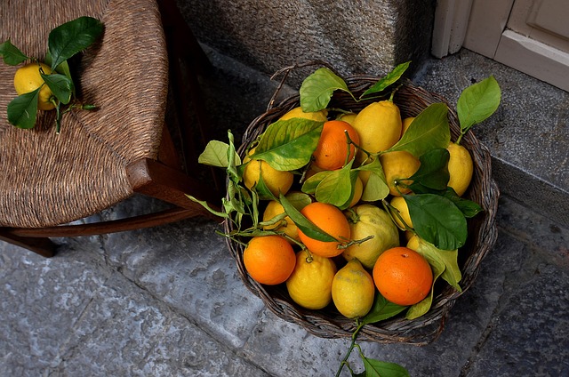 Fruta Cesta Cosecha - Foto gratis en Pixabay - Pixabay
