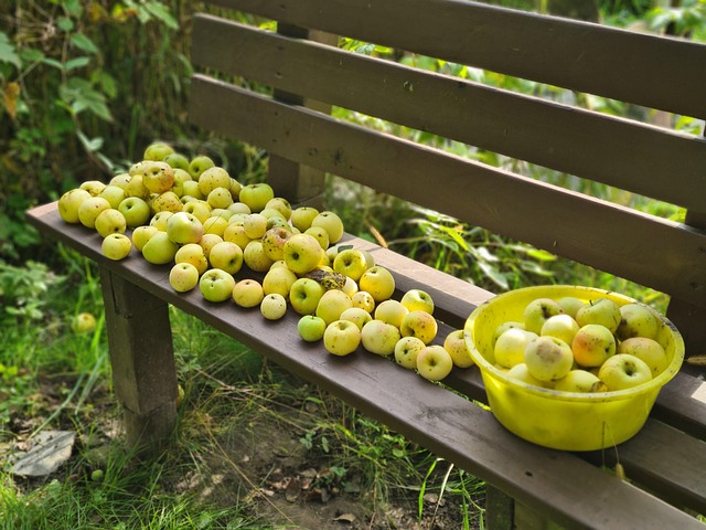 Manzanas Mesa De Trabajo Cosecha - Foto gratis en Pixabay - Pixabay