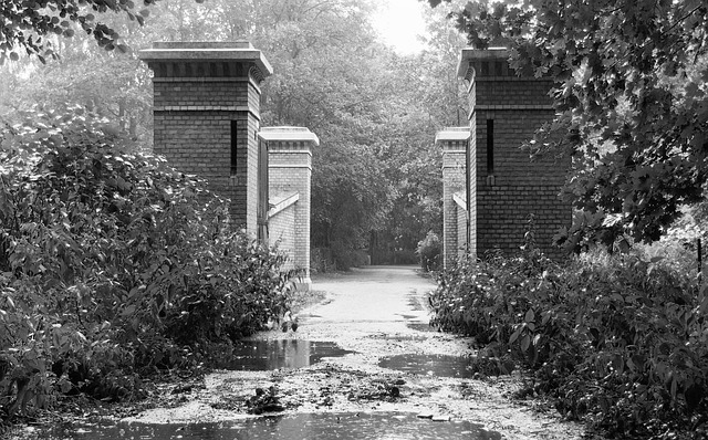 Gate Trees Nature - Free photo on Pixabay - Pixabay