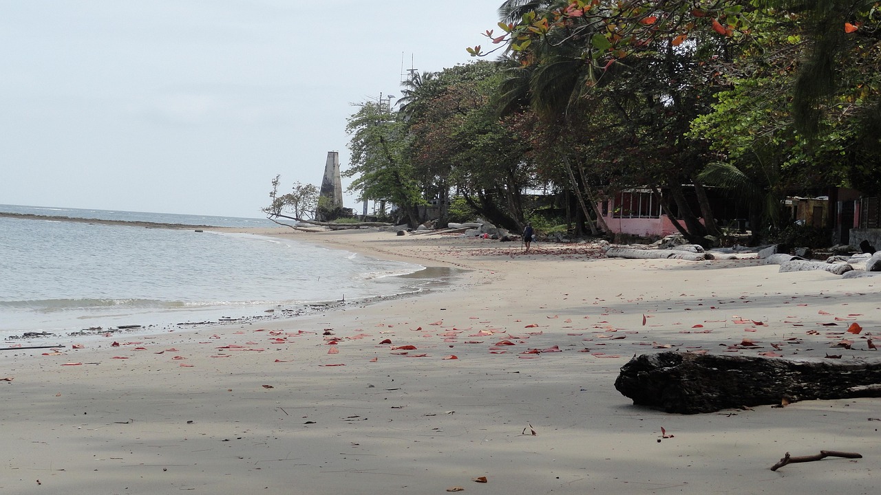 Afrique Gabon Cap Esterias - Photo gratuite sur Pixabay - Pixabay