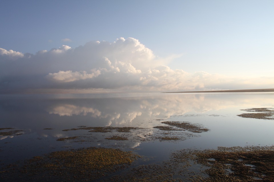 Lake Horizon Reflection - Free photo on Pixabay - Pixabay