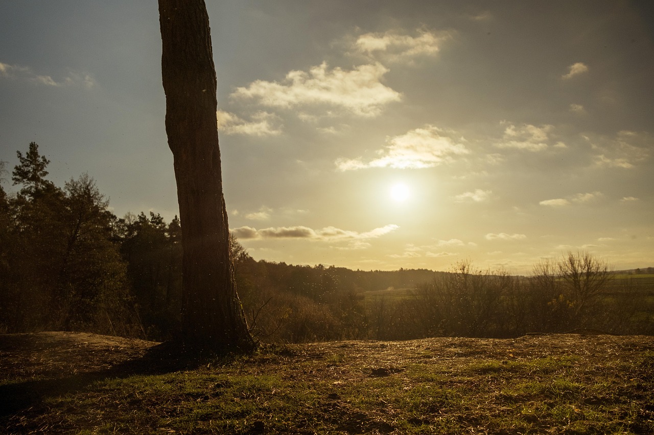 Atardecer Cielo Paisaje - Foto gratis en Pixabay - Pixabay