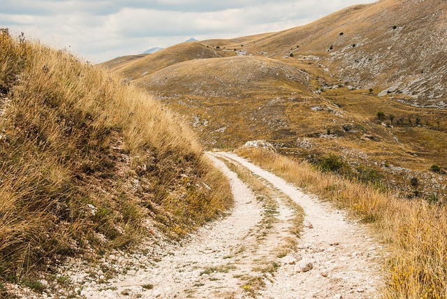 Mountain Path Trail - Free photo on Pixabay - Pixabay