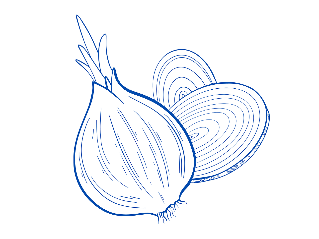 4,000+ Free Onion Onions & Onion Images - Pixabay