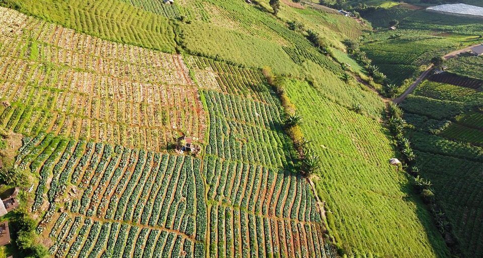 Field Farm Rural - Free photo on Pixabay - Pixabay