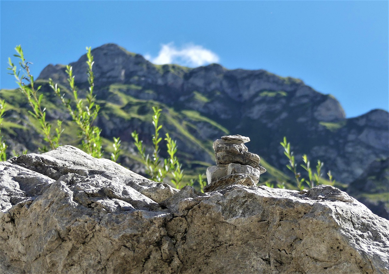 Mountains Rocks Plants - Free photo on Pixabay - Pixabay