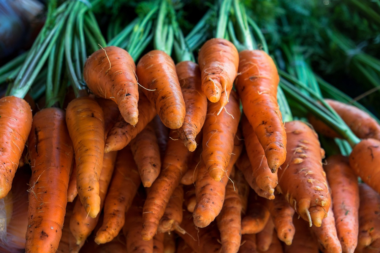 Carrot Vegetables Healthy - Free photo on Pixabay