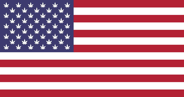 10,000 American Flag Images & Pictures [HD] - Pixabay
