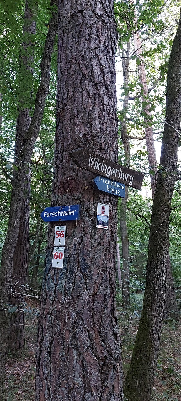 Wanderweg Natur Schild - Kostenloses Foto auf Pixabay - Pixabay