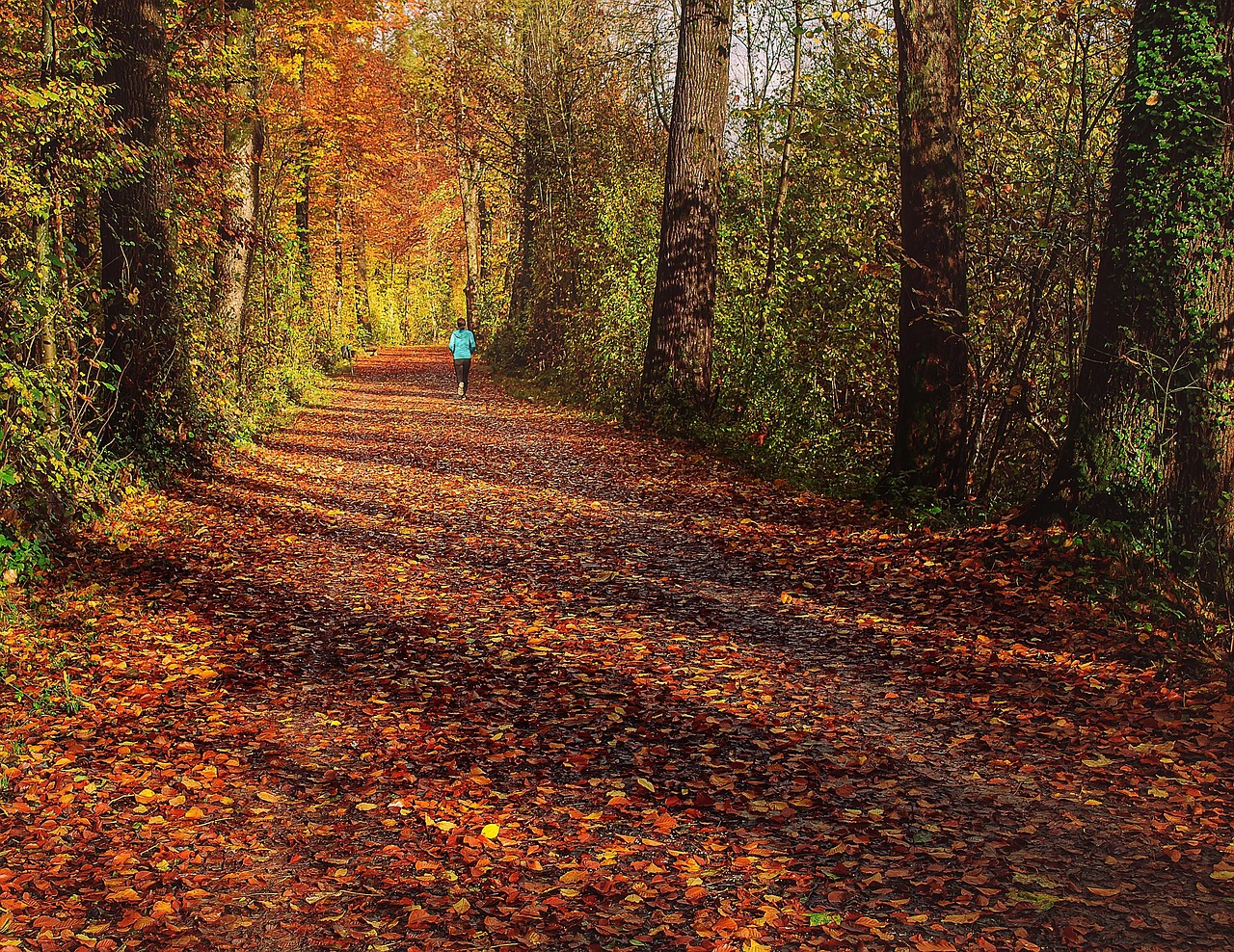 Running Sport - Free photo on Pixabay - Pixabay