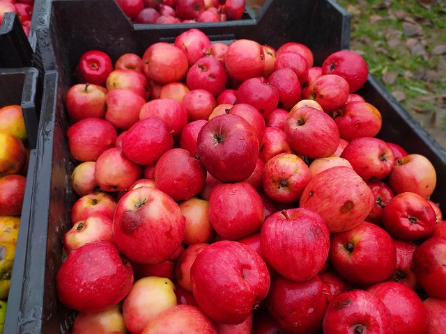 Manzanas Manzana Cajas - Foto gratis en Pixabay - Pixabay