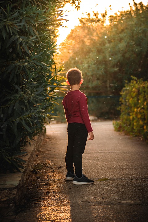 Kid Outdoors Sunset - Free photo on Pixabay