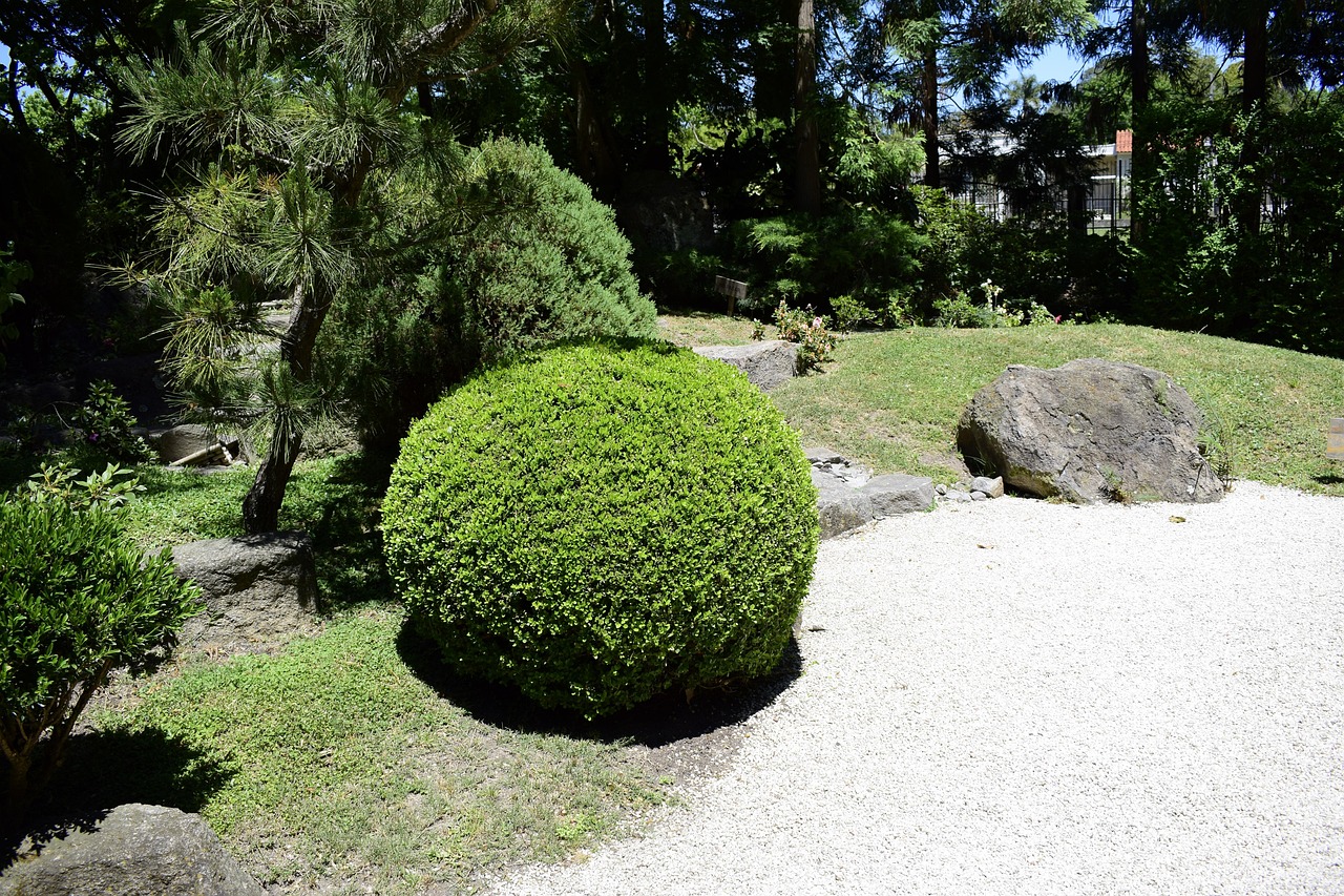 Japan Bro Natur - Gratis foto på Pixabay