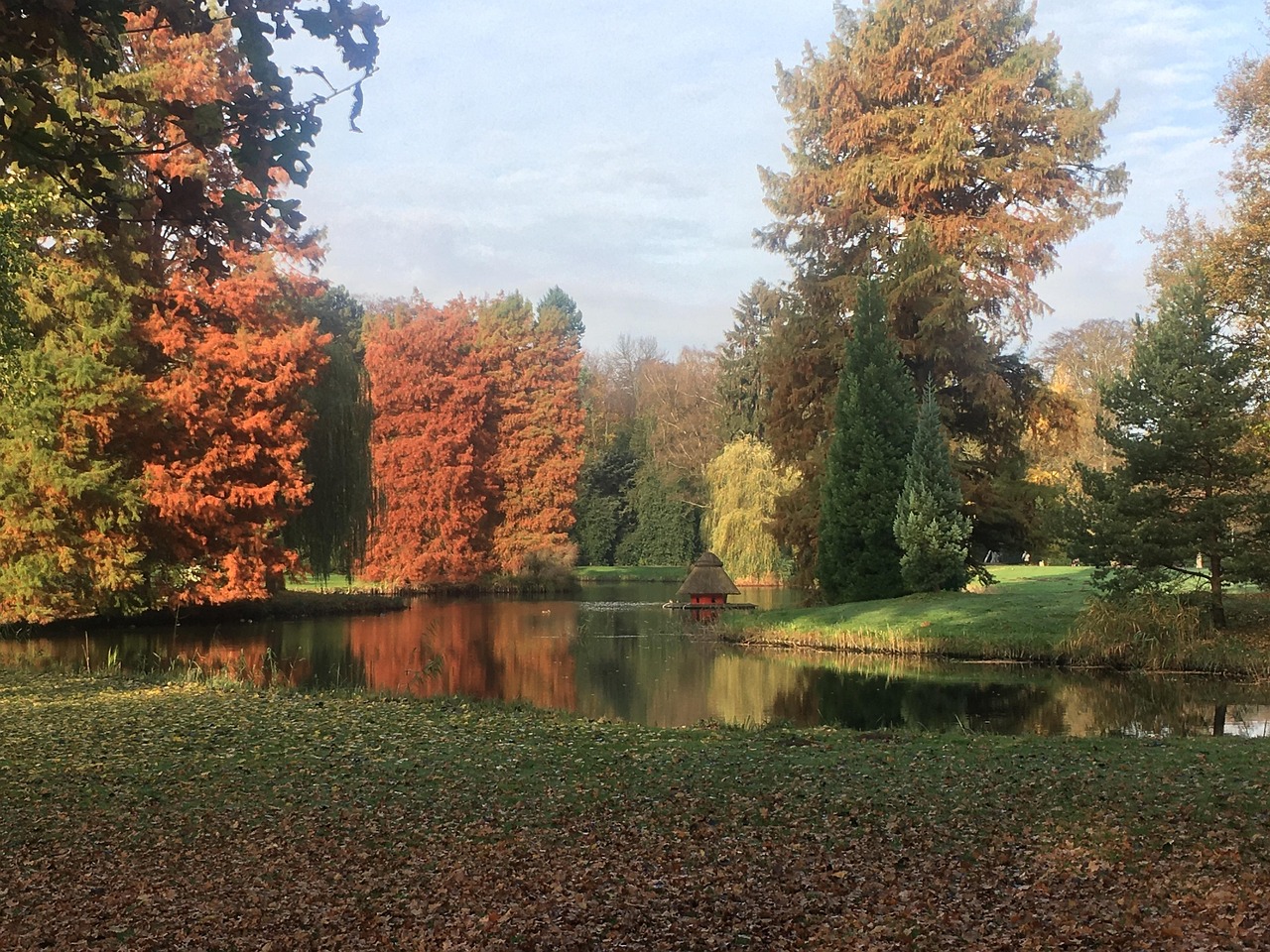 Park Syksy Lehdet Syksyn - Ilmainen valokuva Pixabayssa - Pixabay
