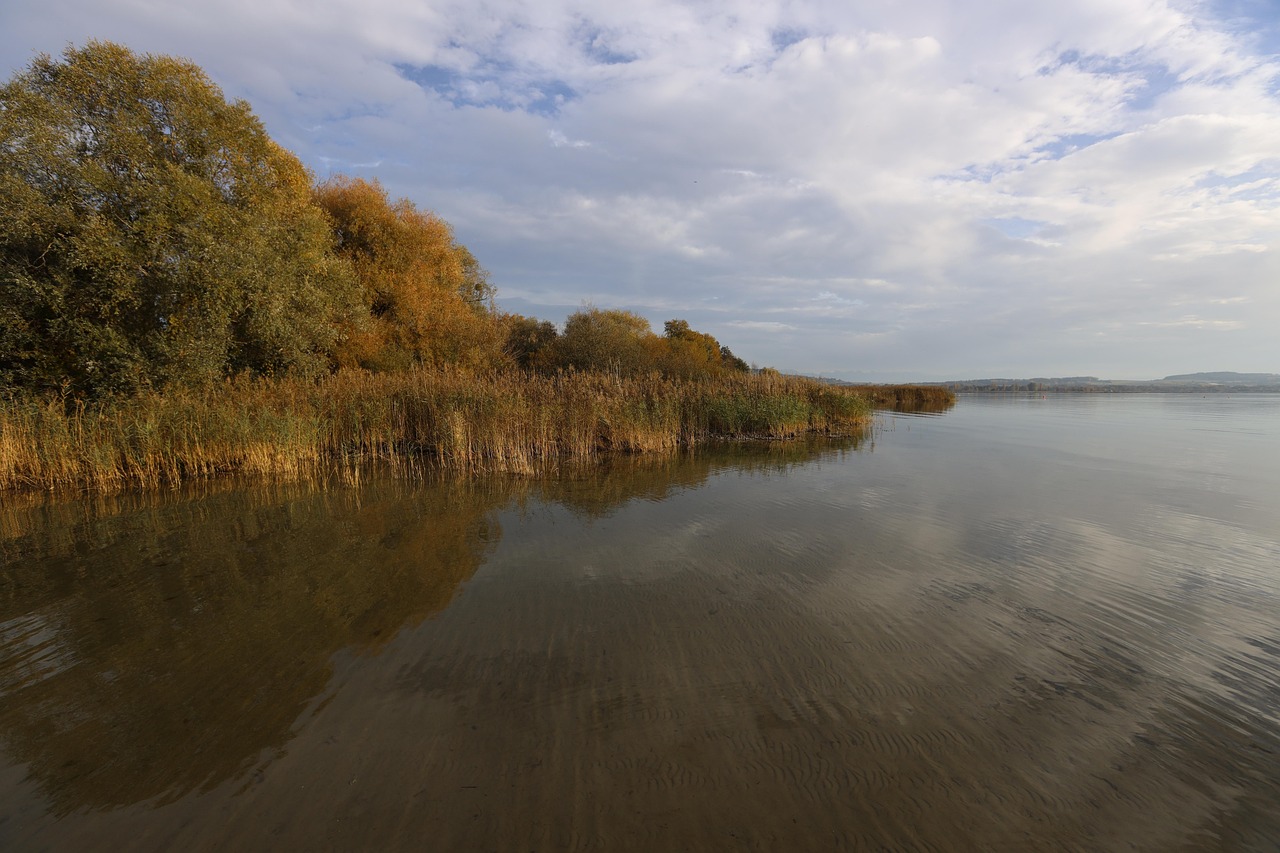 Region Of Lake Murten Morat - Free photo on Pixabay - Pixabay