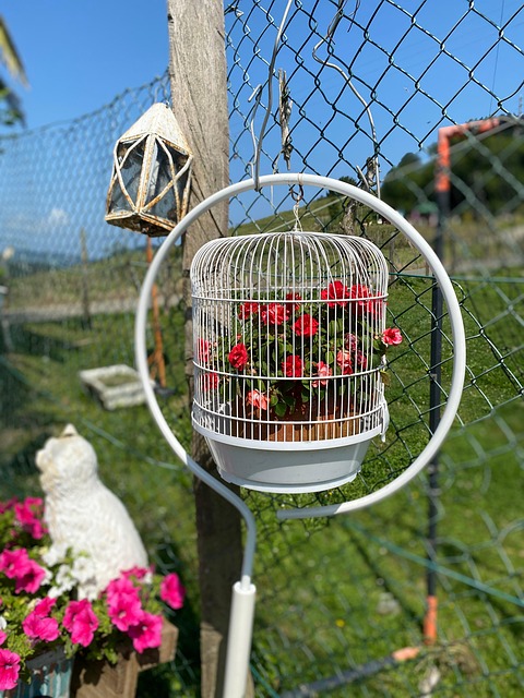 Cage Flowers Nature - Free photo on Pixabay - Pixabay