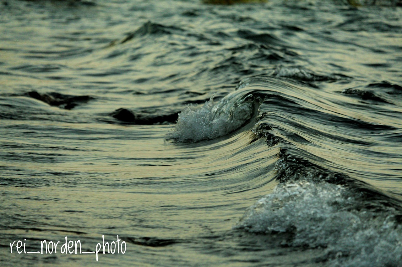 Water Wave Surfing - Free photo on Pixabay - Pixabay