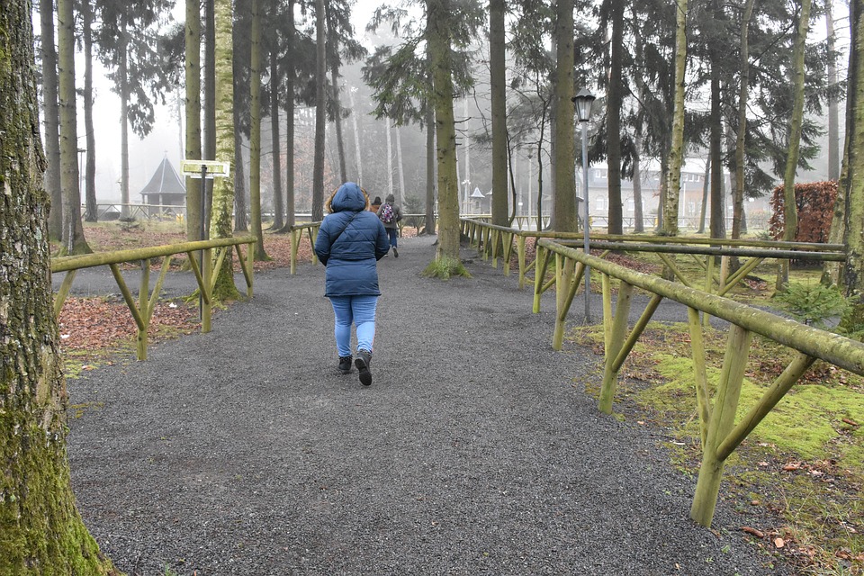 Hiking Hutan Jalan - Foto gratis di Pixabay - Pixabay