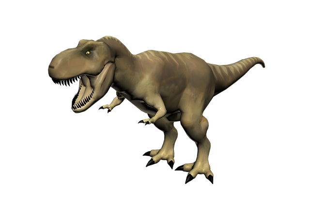 Tyrannosaurus Rex Hodeskalle Tegning