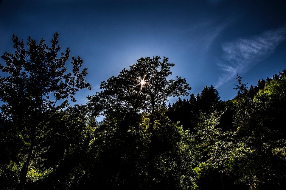 Sun Schatten Licht - Kostenloses Foto auf Pixabay - Pixabay