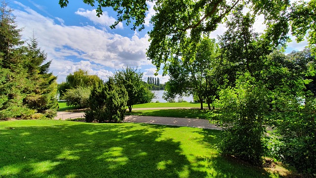 Light And Shadow Garden Green - Free photo on Pixabay - Pixabay